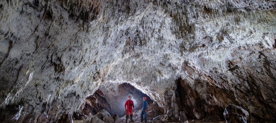 Caving Journal Online