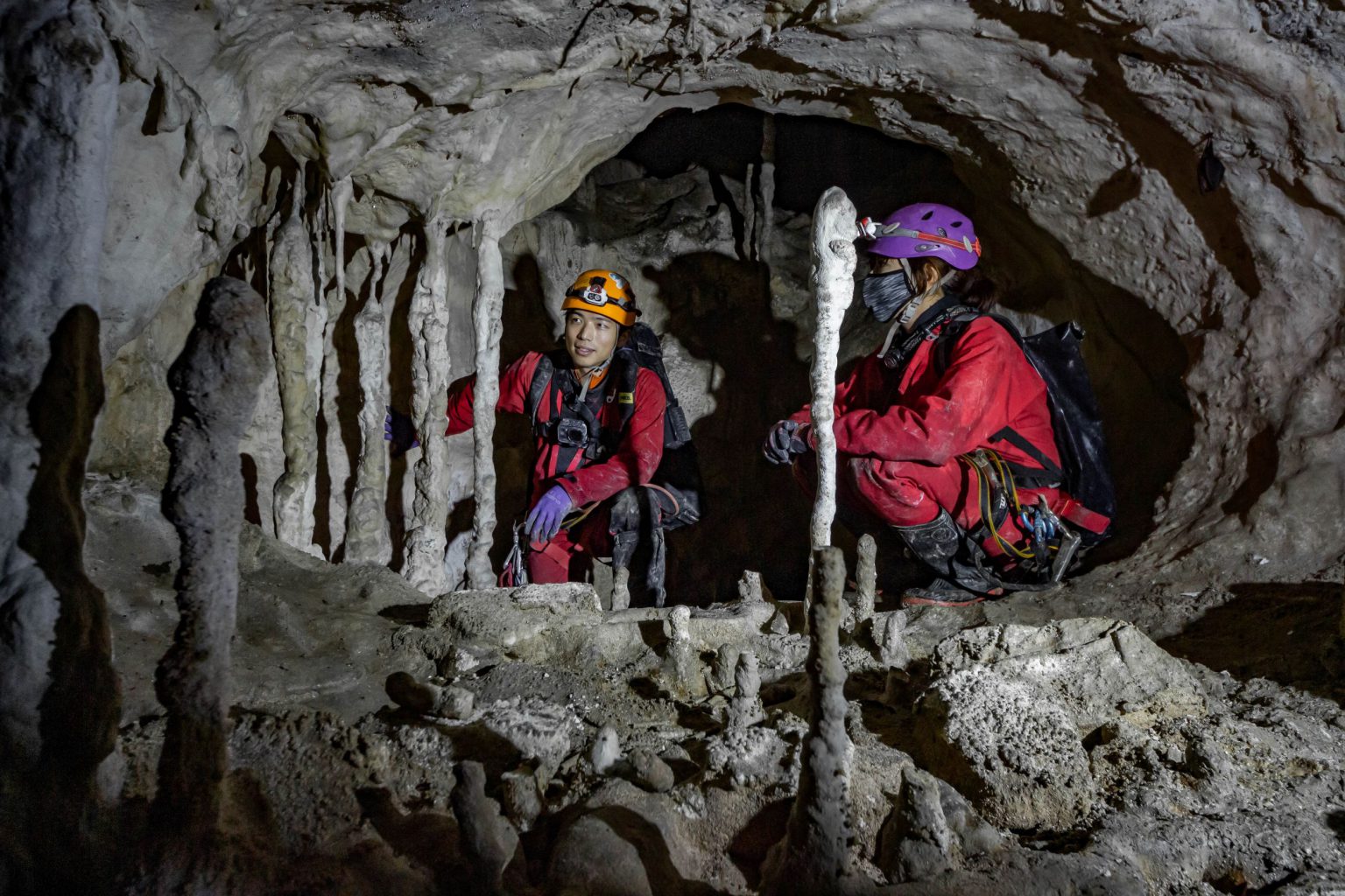 グラビア | Caving Journal Online