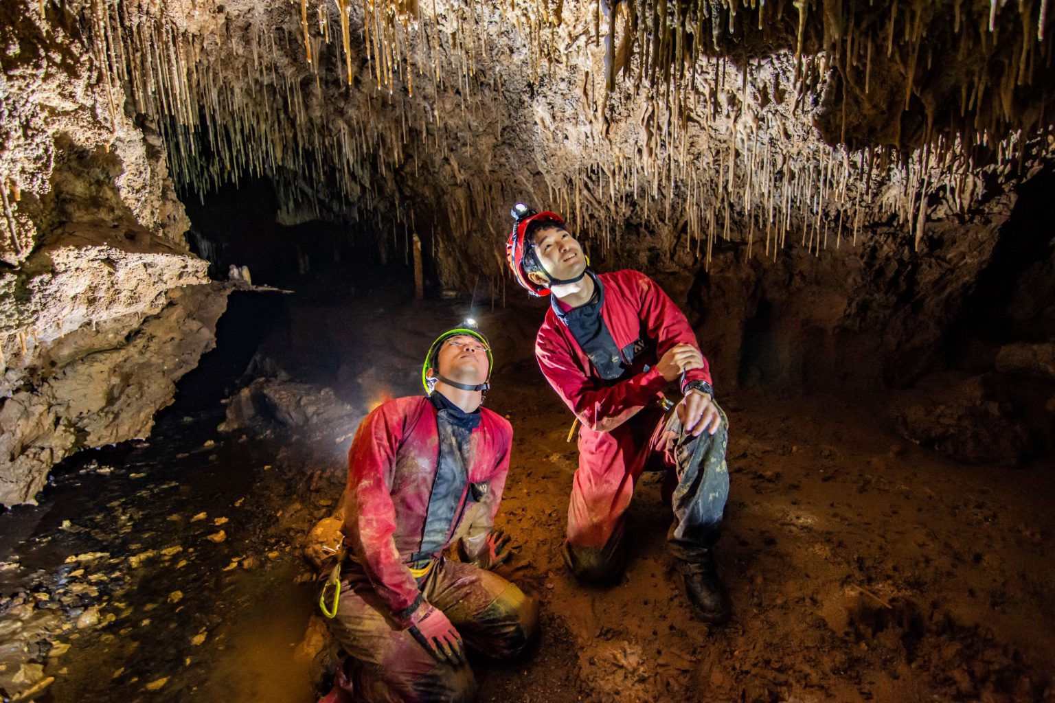 グラビア | Caving Journal Online